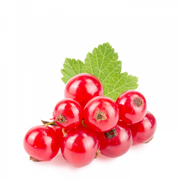 Ki-Suco de Groselha 1L | O sabor mais divertido